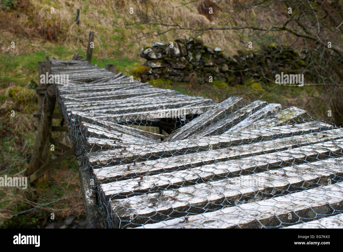 Broken foot bridge in Scotland Stock Photo - Alamy