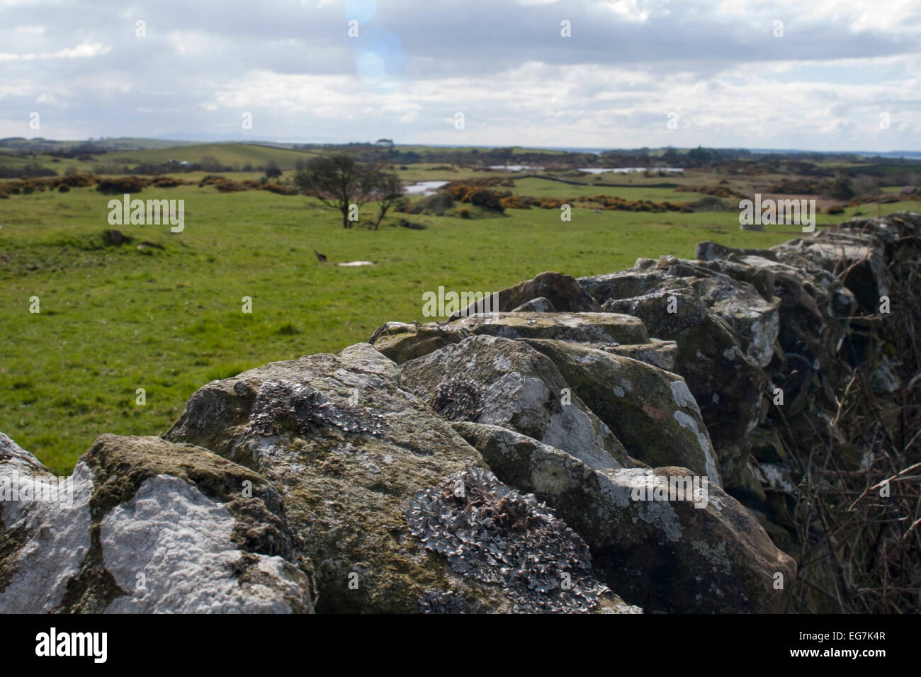 Scotland countryside and stone wall Stock Photo - Alamy