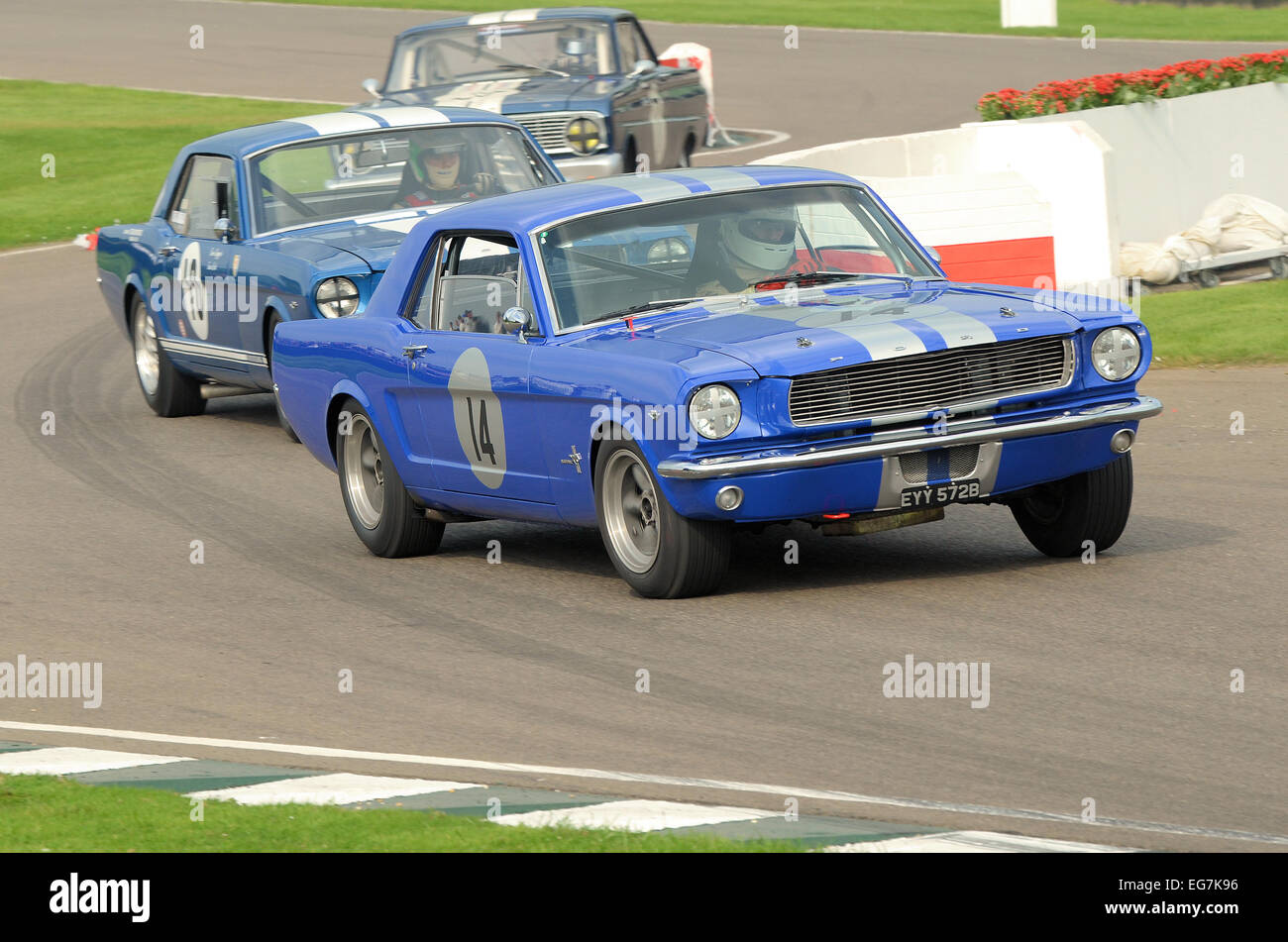 1965 mustang race car hi-res stock photography and images - Alamy