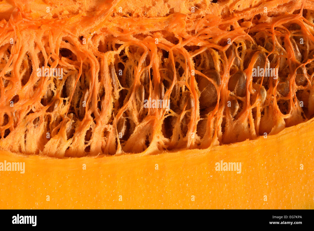 Magnificent squash is cut in half to show its seeds Stock Photo - Alamy