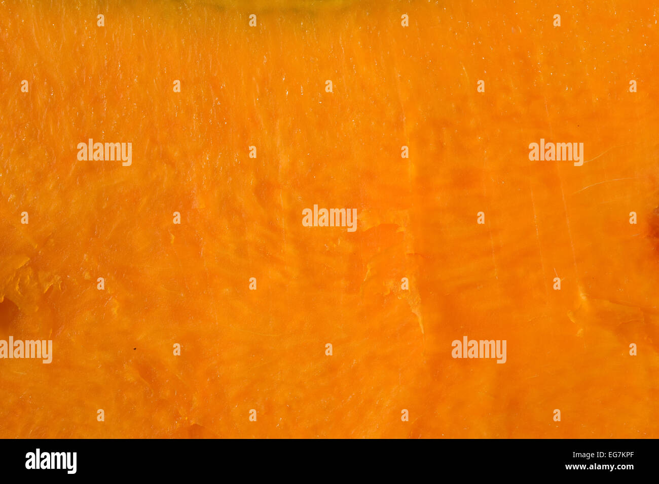 A squash is cut to show its yellow mass Stock Photo - Alamy