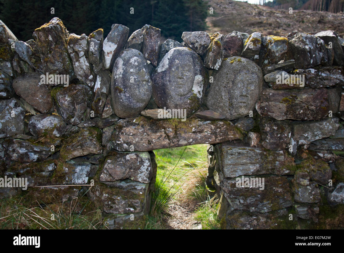 Stone Wall Faces in Dumfries and Galloway Scotland Stock Photo - Alamy