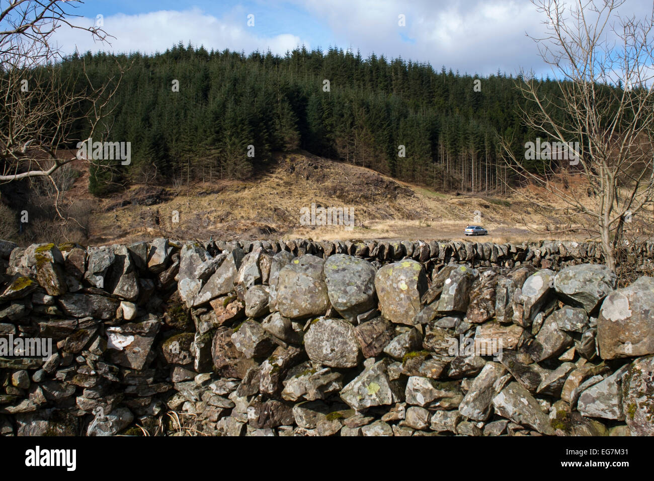Galloway forest park walk hi-res stock photography and images - Alamy