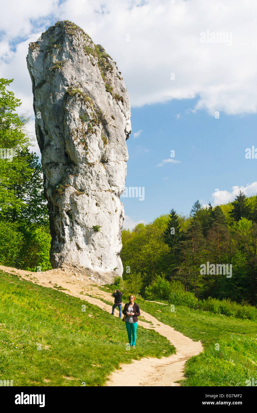 Maczuga herkulesa hi-res stock photography and images - Alamy