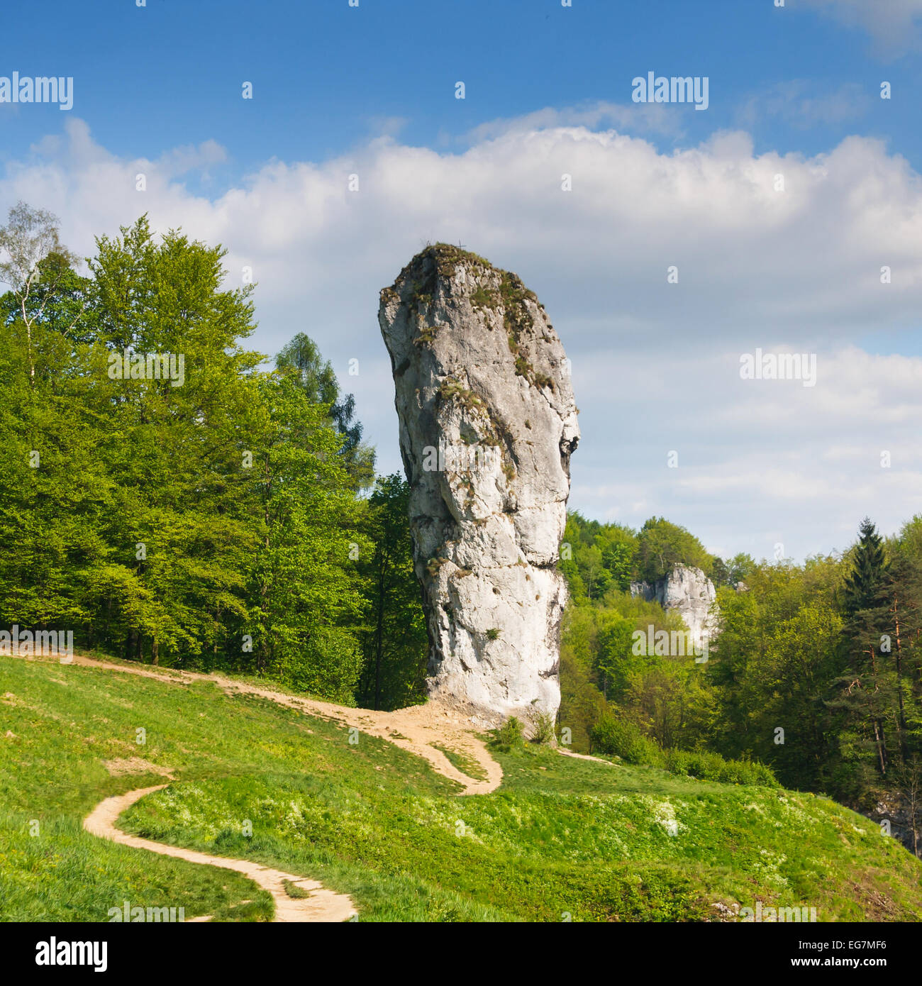 Maczuga herkulesa hi-res stock photography and images - Alamy