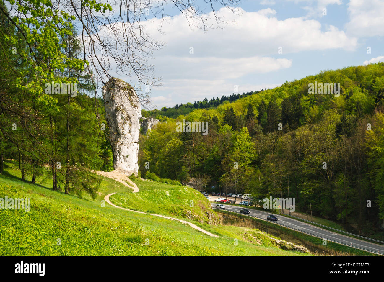 Maczuga Herkulesa, rock in National Ojcow Park, Poland Stock Photo - Alamy