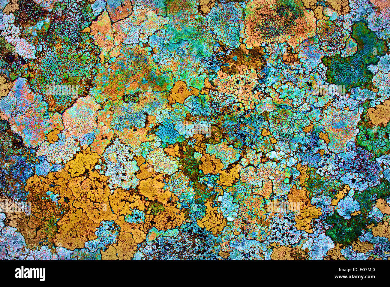 Old rusty iron for background with spots of moss Stock Photo - Alamy