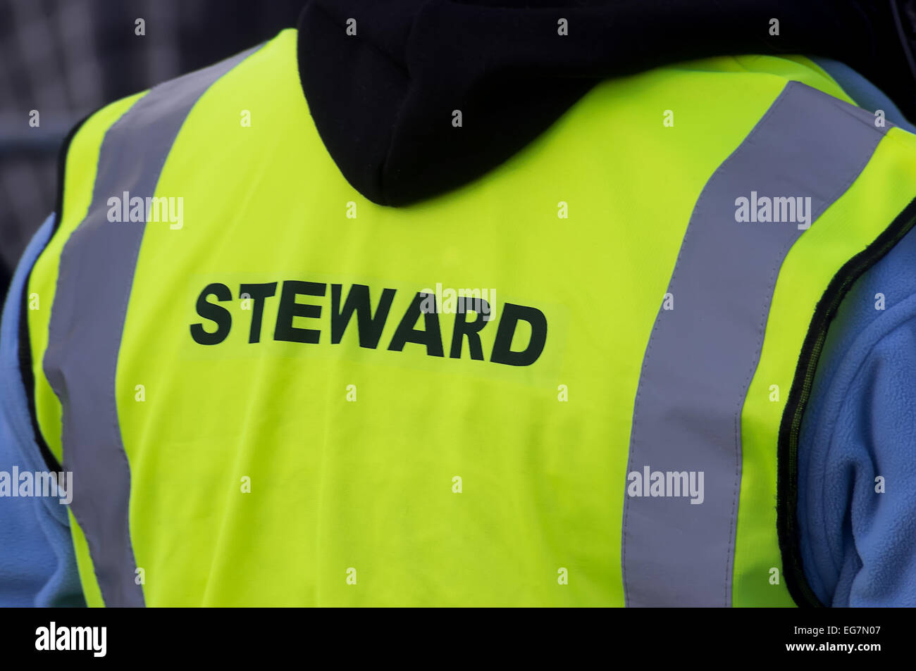 high visibility,protective,job,security staff,fluorescent,uniform,back ...