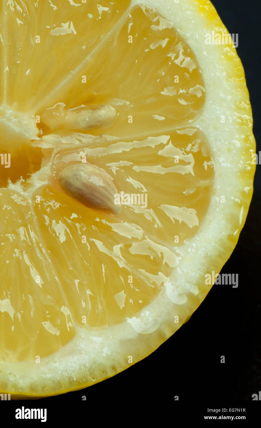 Lemon, sliced Stock Photo - Alamy