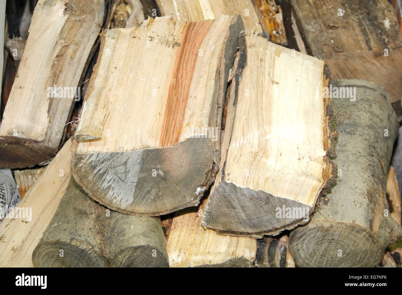 Broken Logs from the trees nature wood Stock Photo - Alamy