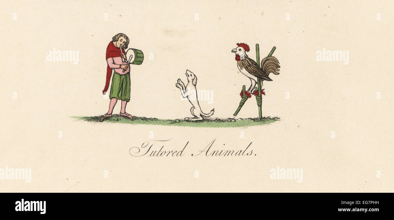 Medieval trained animal performers Stock Photo - Alamy