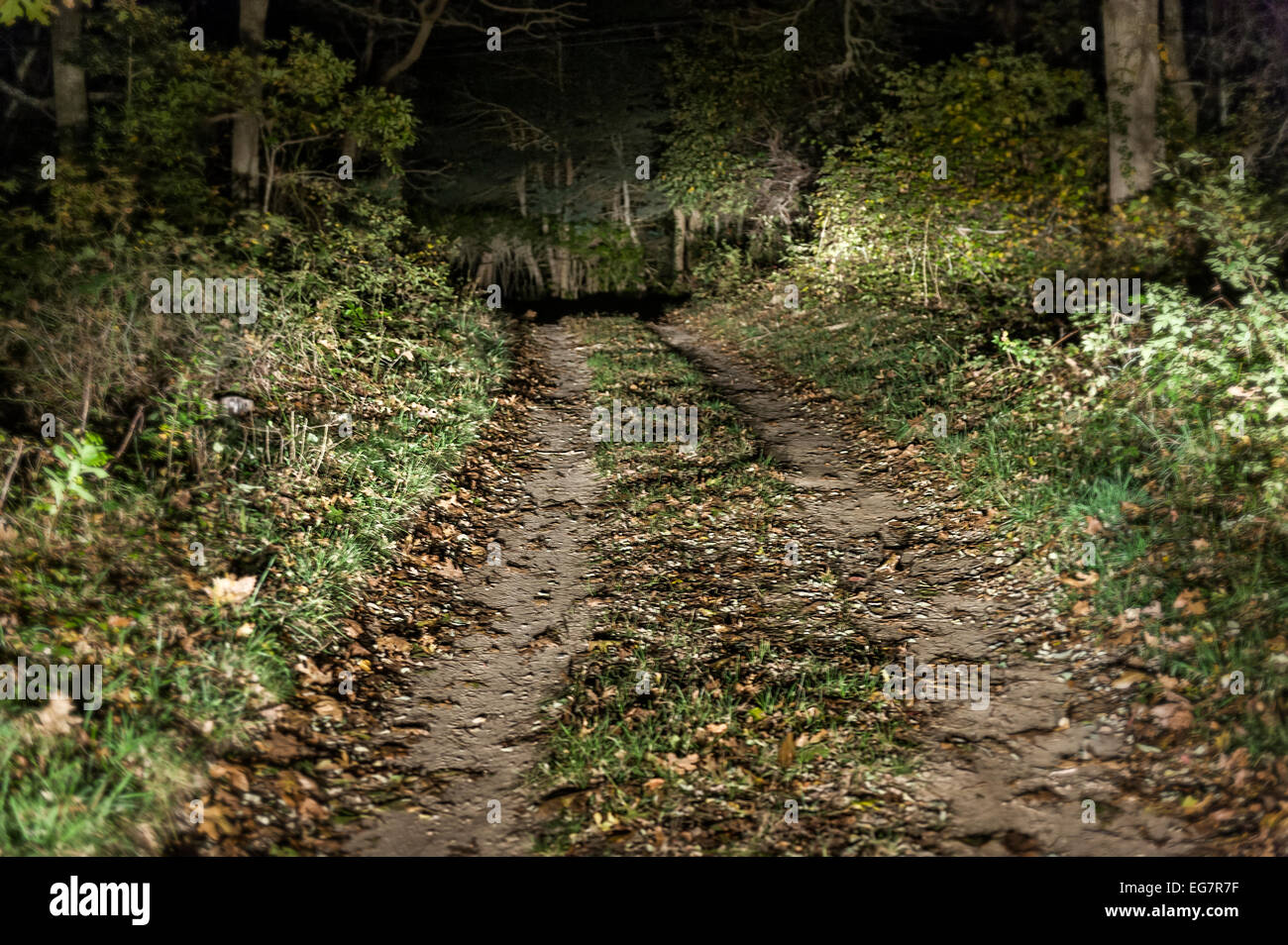 Night country road hi-res stock photography and images - Alamy