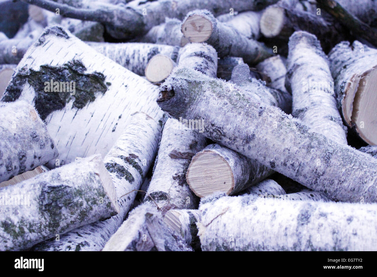 Fire birch hi-res stock photography and images - Alamy