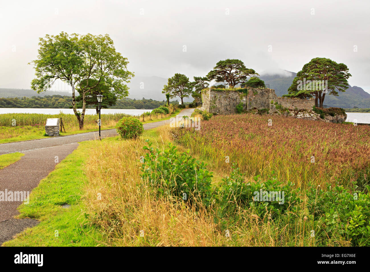Ruins of an ancient fortress on Lough Leane Lower Lake Stock Photo - Alamy
