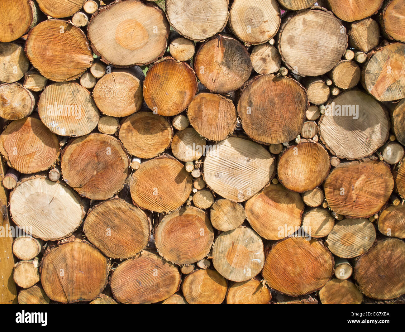 Sawn Log Wall Stock Photo - Alamy