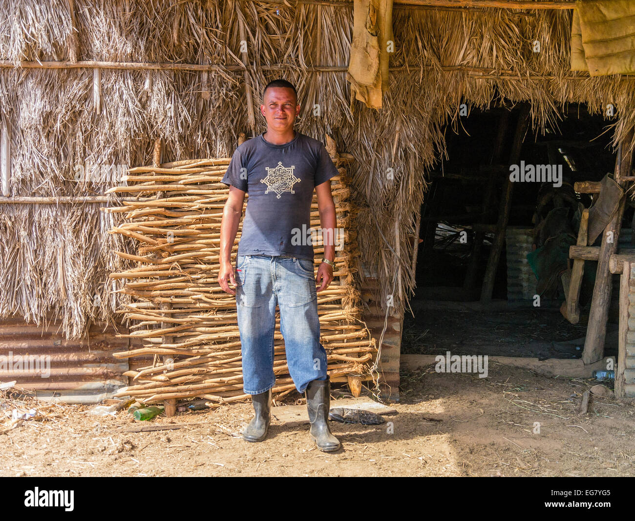 A young Cuban male tobacco farm worker stands in front of a tobacco ...