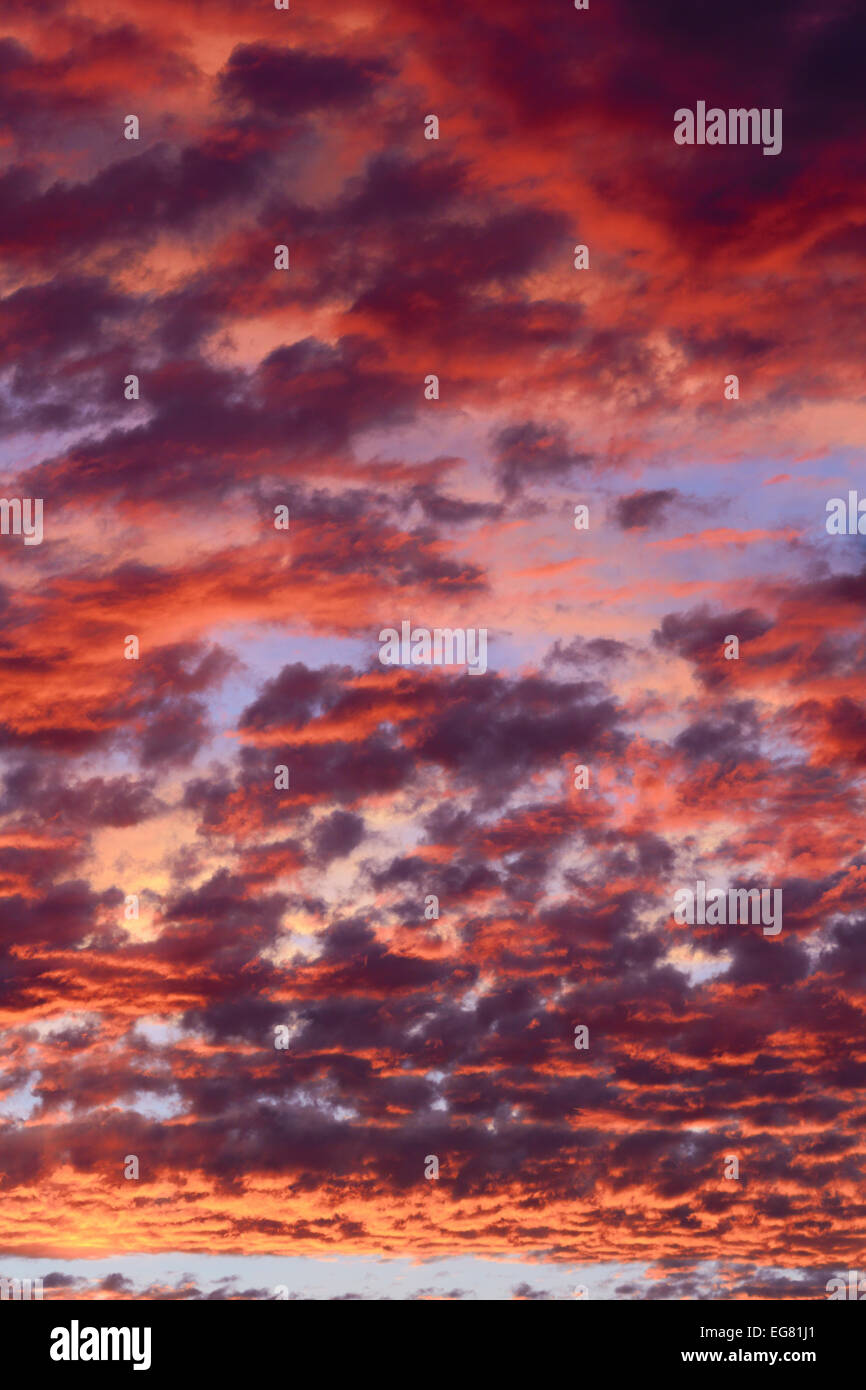 Clouds on sunset sky, background Stock Photo - Alamy