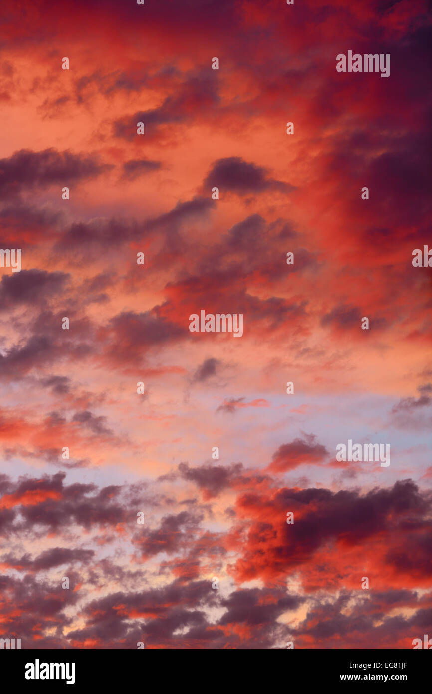 Clouds on sunset sky, background Stock Photo - Alamy