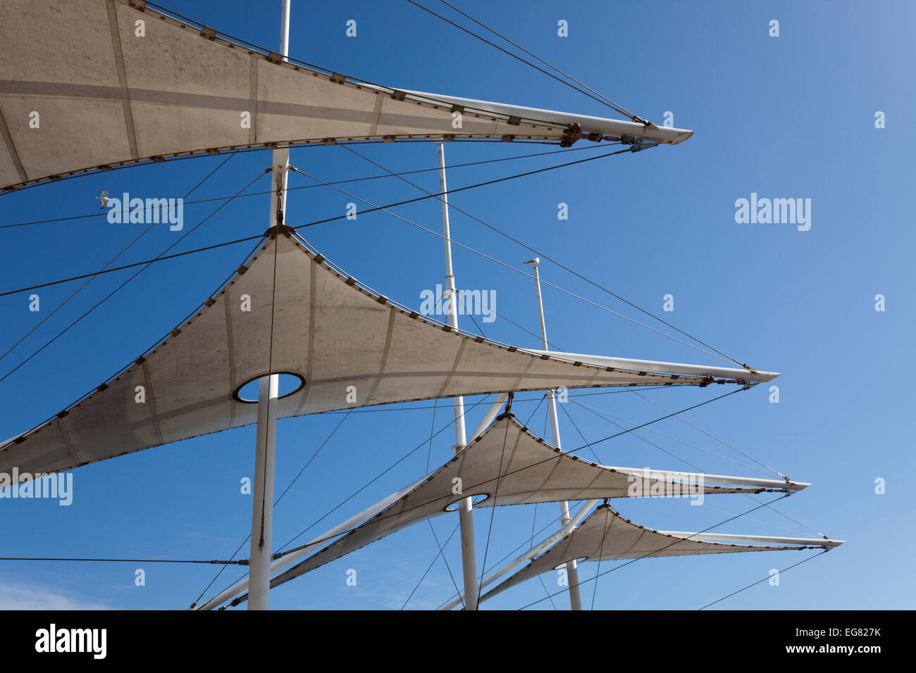 Architectural, triangular sail canopies on Brighton seafront, England A ...