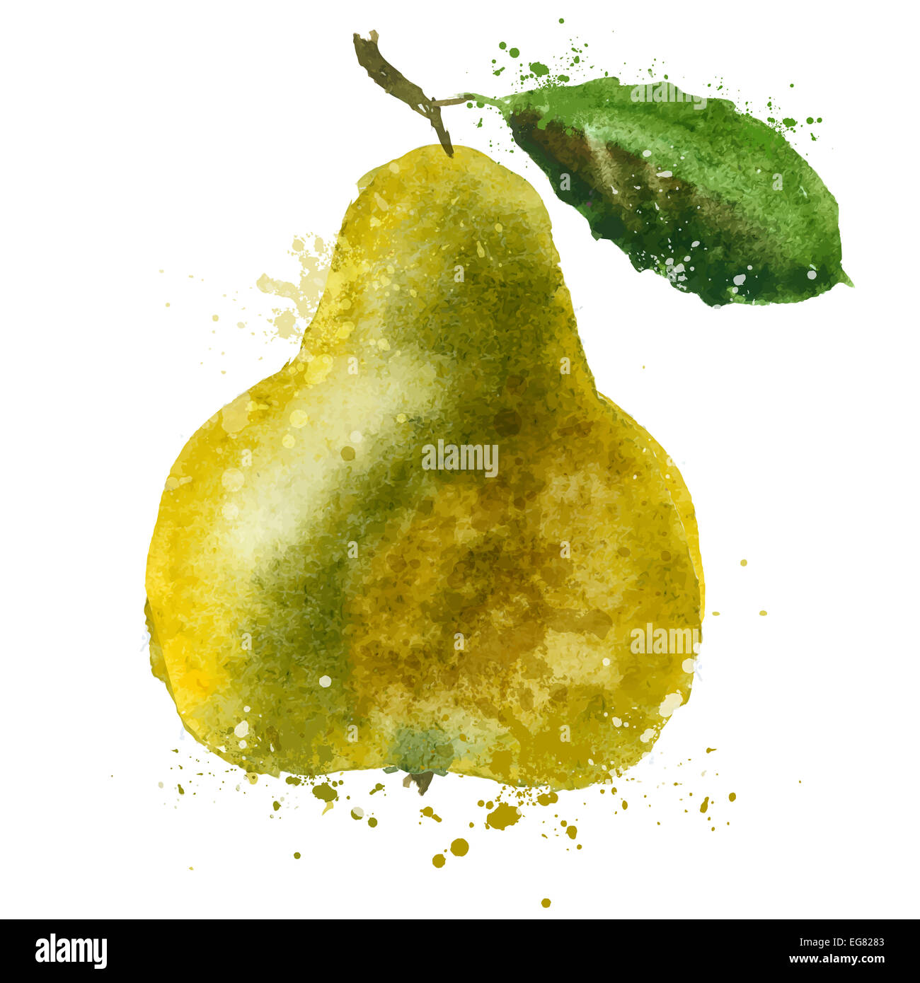 Pear watercolor painting Cut Out Stock Images & Pictures - Alamy