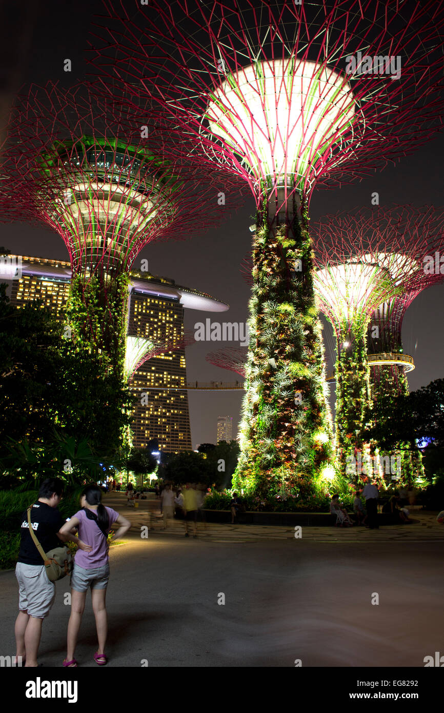 The spectacular and awe-inspiring Supertrees illuminated at night in ...