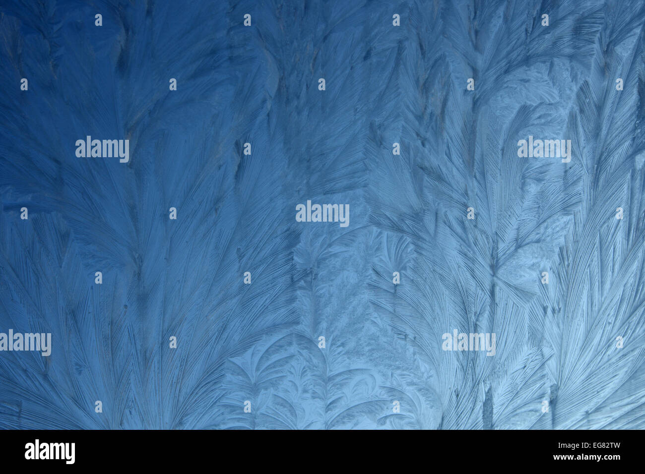 Frost ice patterns Stock Photo - Alamy