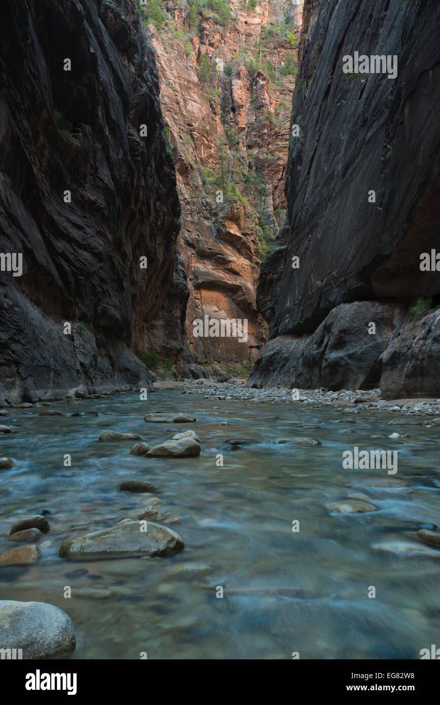 The Narrows, Zion National Park, Utah Stock Photo - Alamy