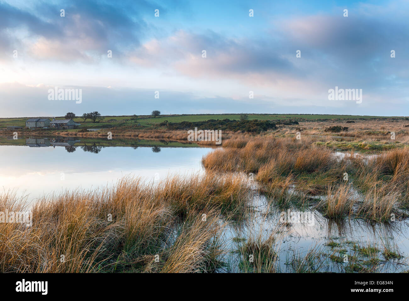 Cottages on the lakeside at Dozmary Pool on Bodmin Moor in Cornwall ...