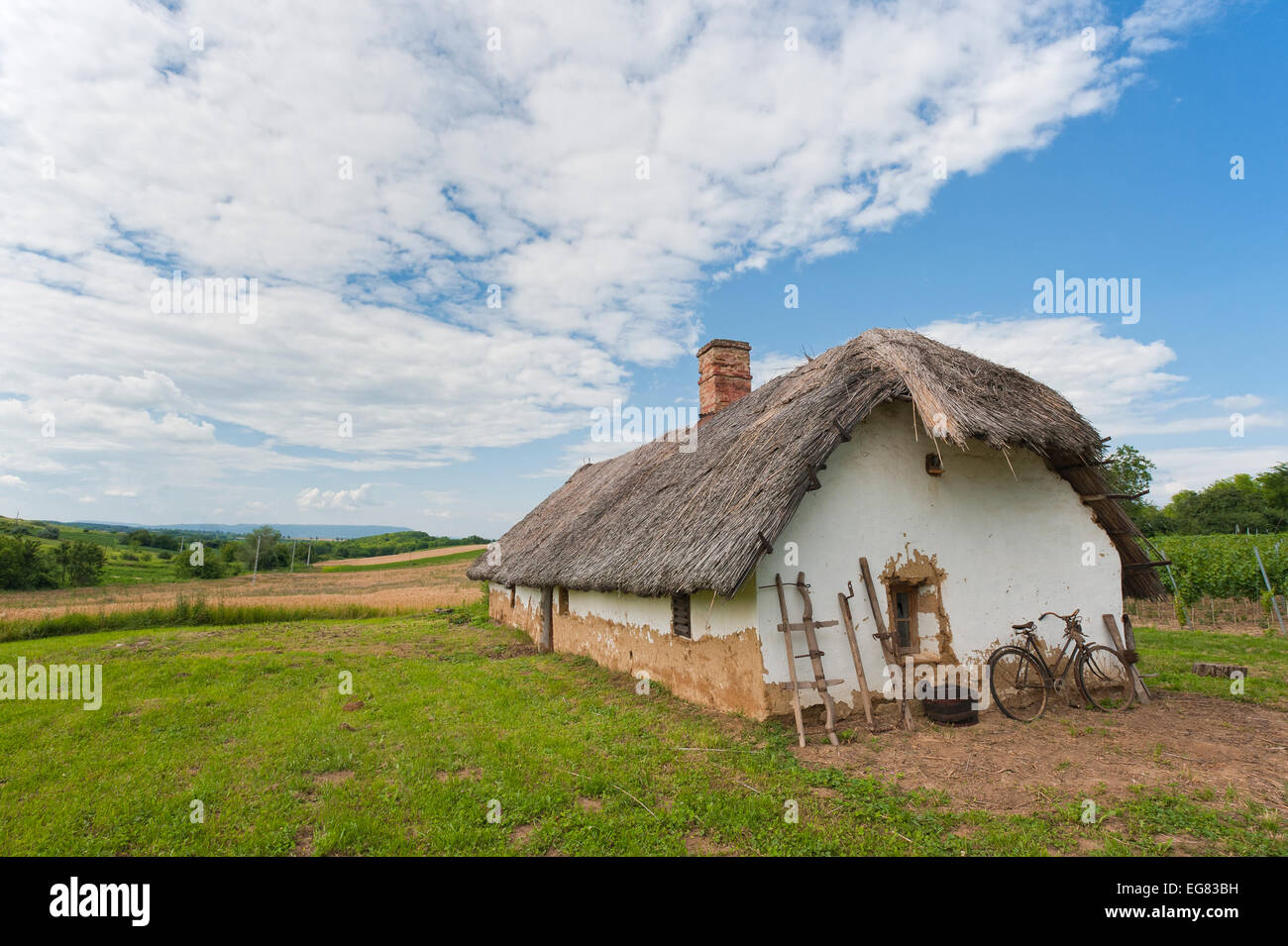A reed-covered roof of a residential building as typical as in Hungary ...