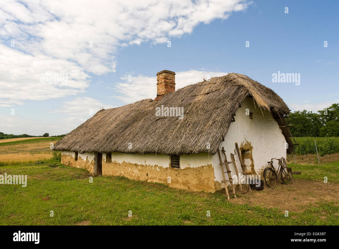 A reed-covered roof of a residential building as typical as in Hungary ...