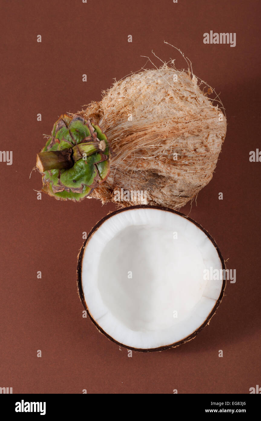 Closeup coco hi-res stock photography and images - Alamy