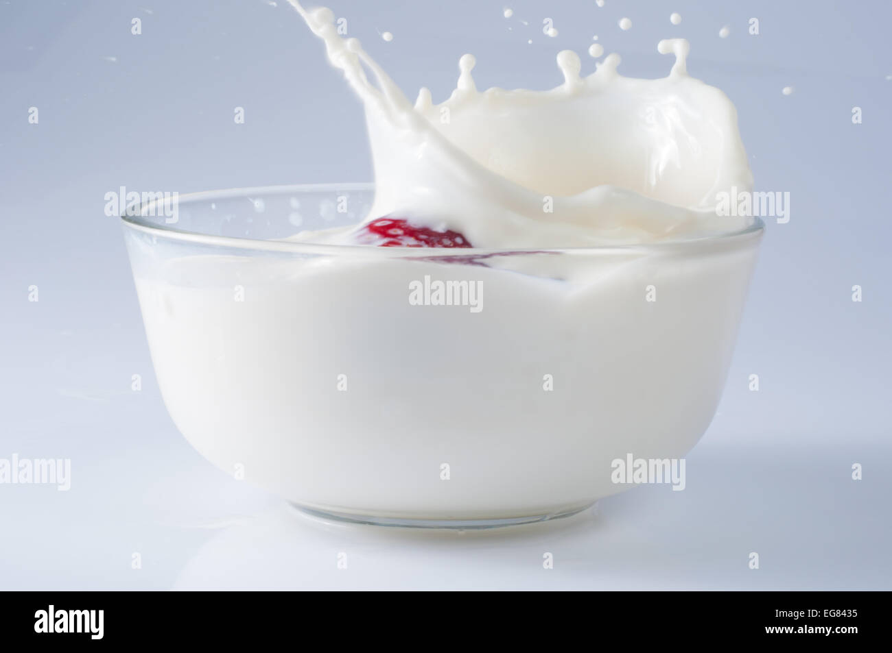 pouring milk in a cup isolated against white background Stock Photo - Alamy