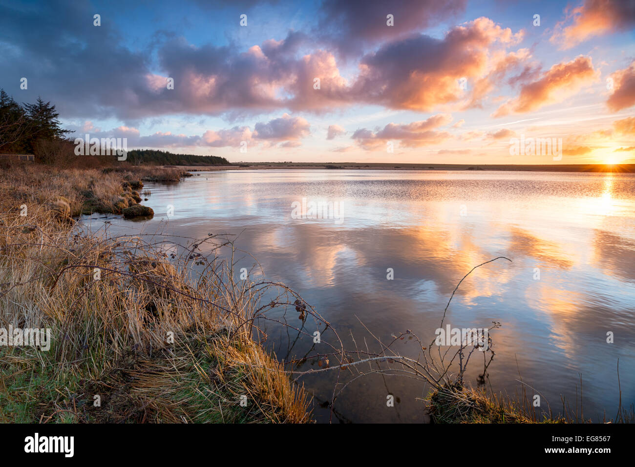 Stunning sunrise over Crowdy Lake a small reservoir on the edge of ...
