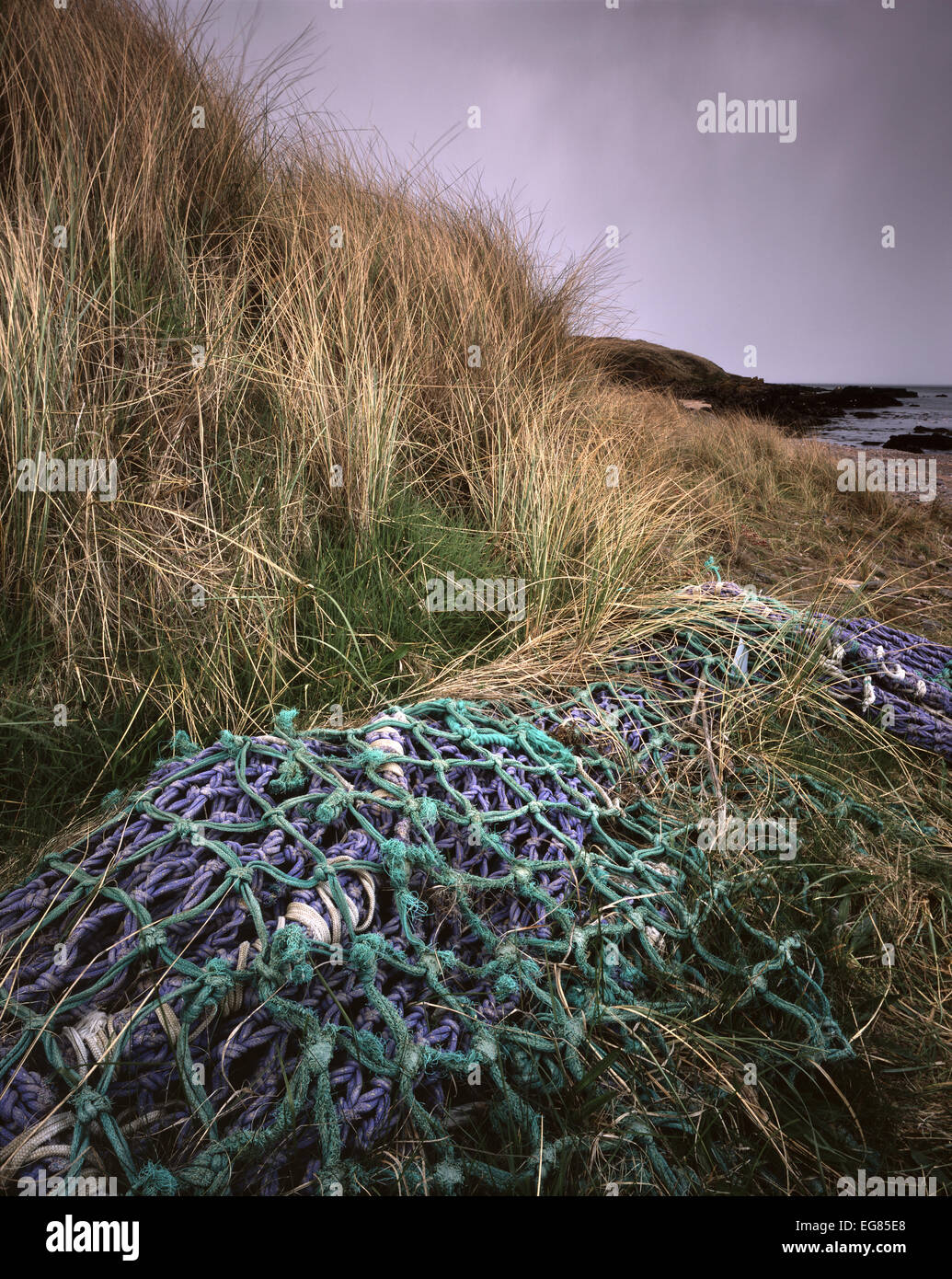 Fish uk north sea waste hi-res stock photography and images - Alamy