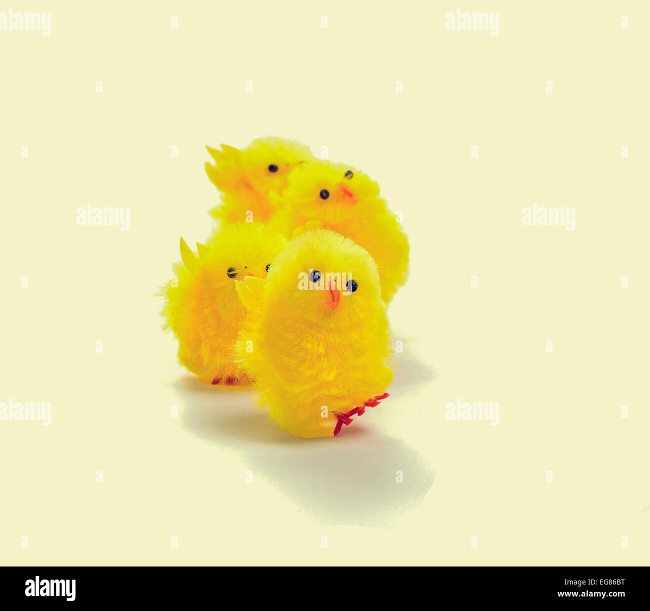 Four chickens hi-res stock photography and images - Alamy