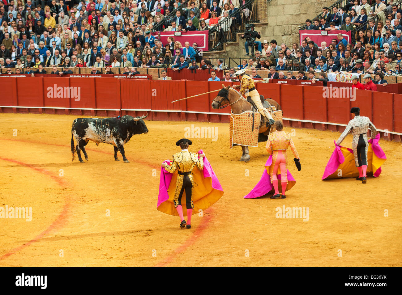 Corrida de toros hi-res stock photography and images - Alamy