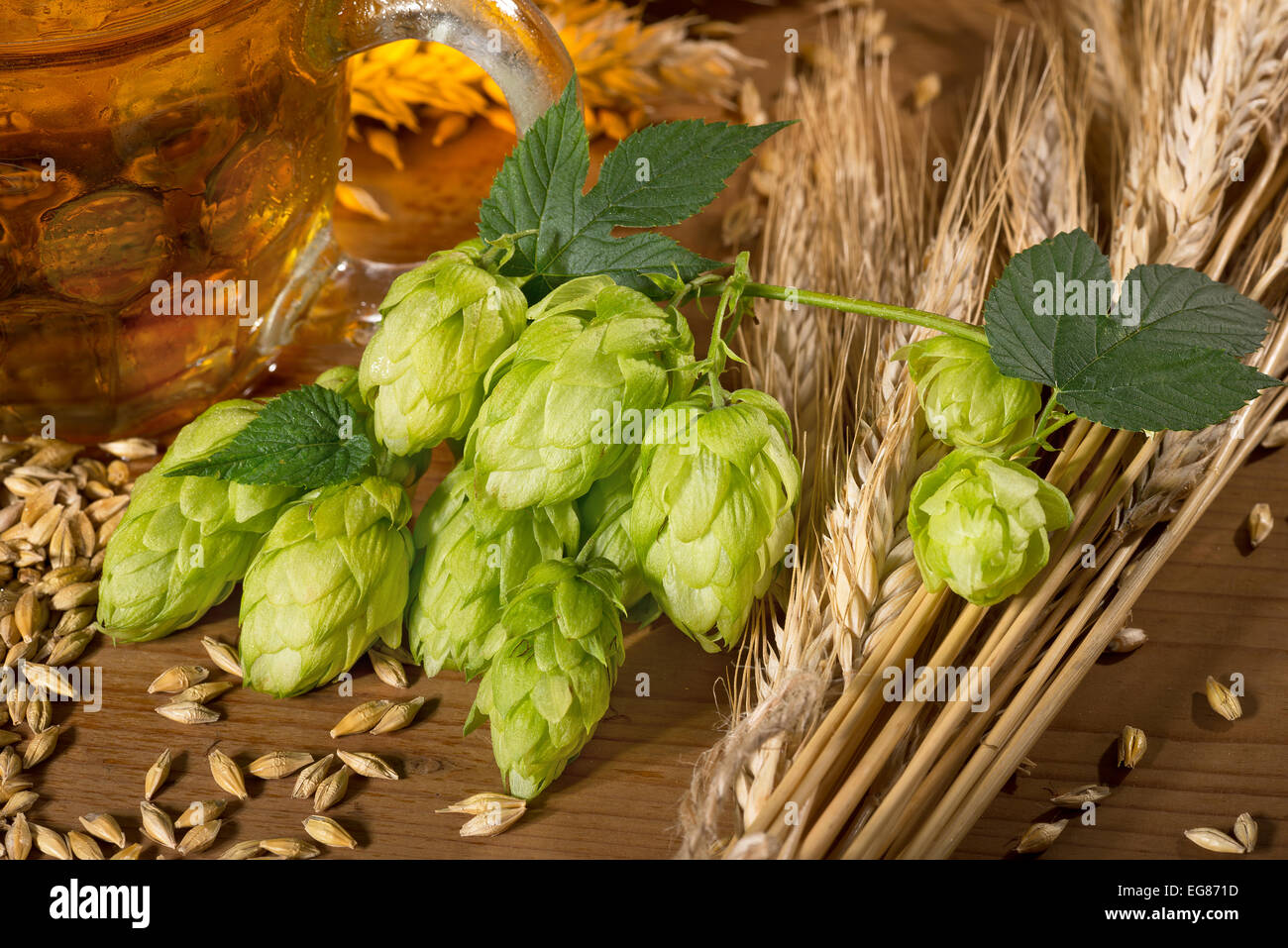 Beer bitter beer production lager suds foam draft jug hi-res stock ...