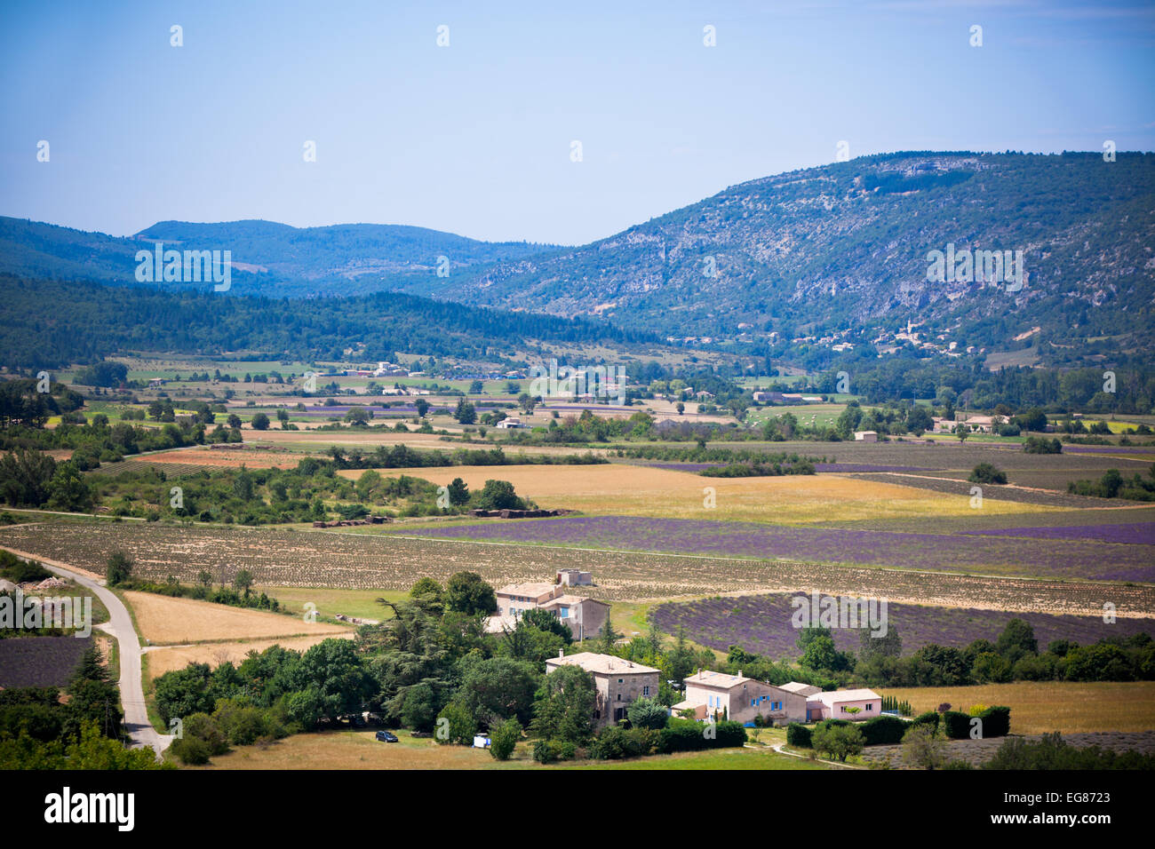 Rural landscape with lavender fields and mountains in Provence, France ...