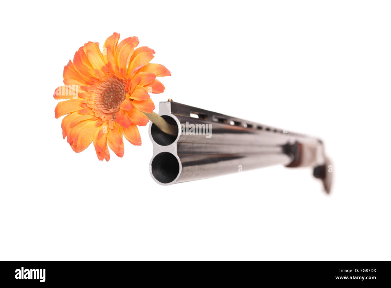 Flower gun barrel hi-res stock photography and images - Alamy