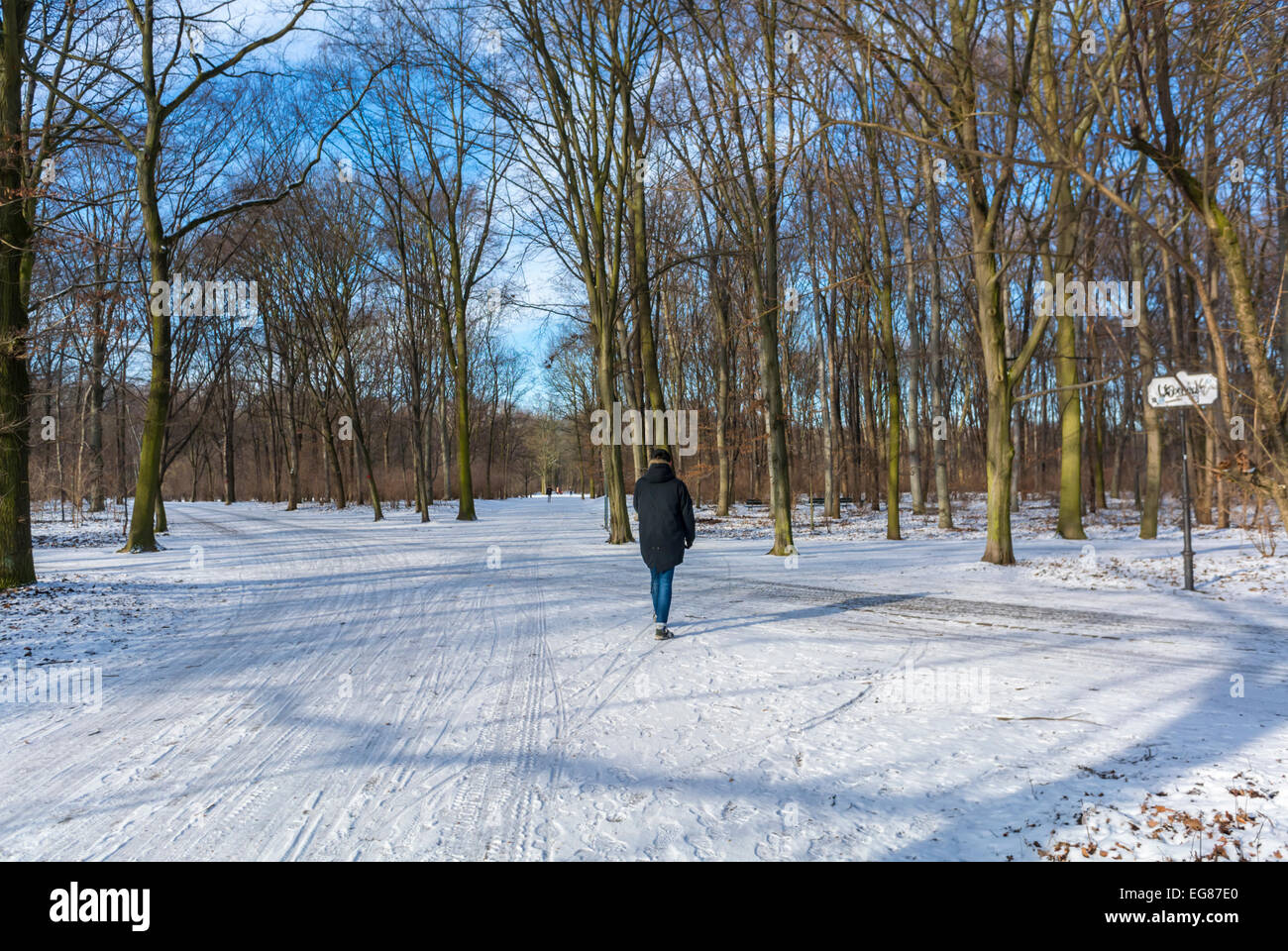 Berlin, Germany, Man Walking Away, Alone, Rural Winter Landscape in ...