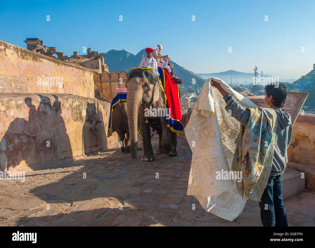 JAIPUR, RAJASTAN, INDIA - January, 27: Decorated elephant at Amber Fort ...