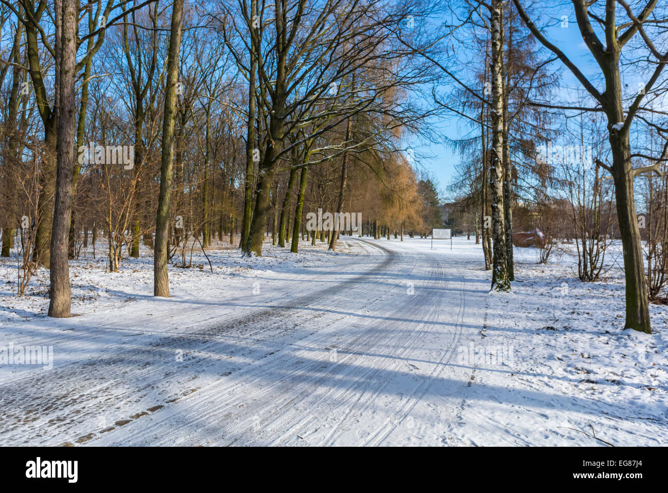Berlin Germany Rural Winter Landscape In German Public Park Scenes Tiergarten In Wintertime