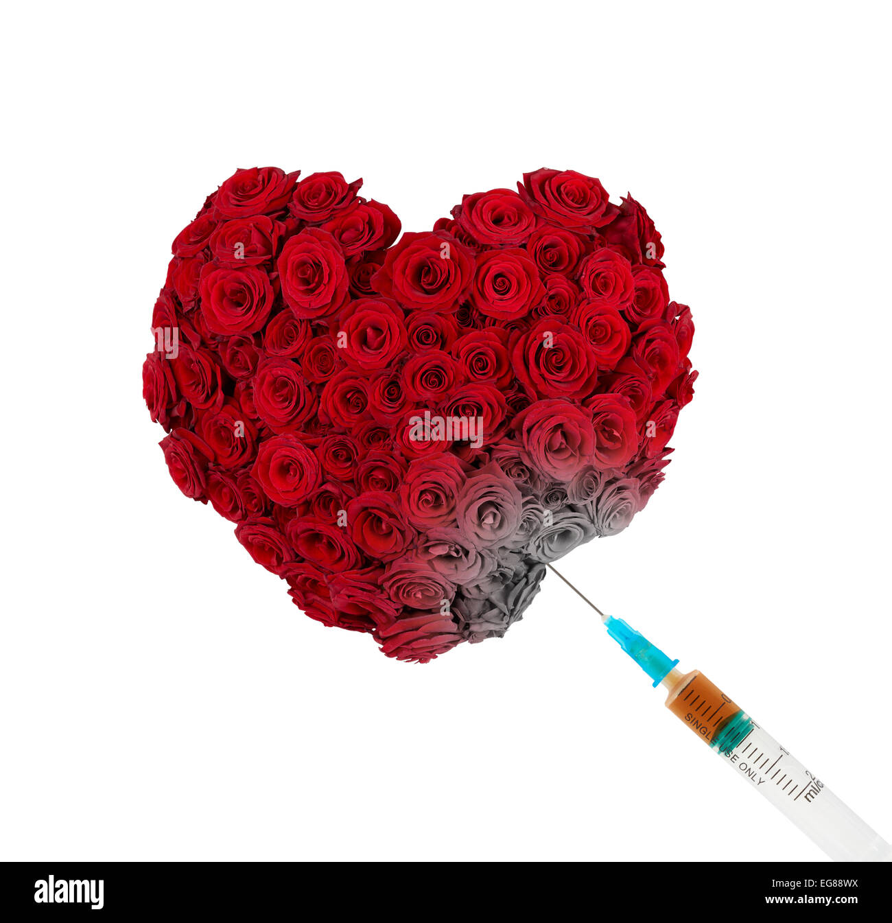 Drug injection into heart shaped bunch of roses. Conceptual photo ...