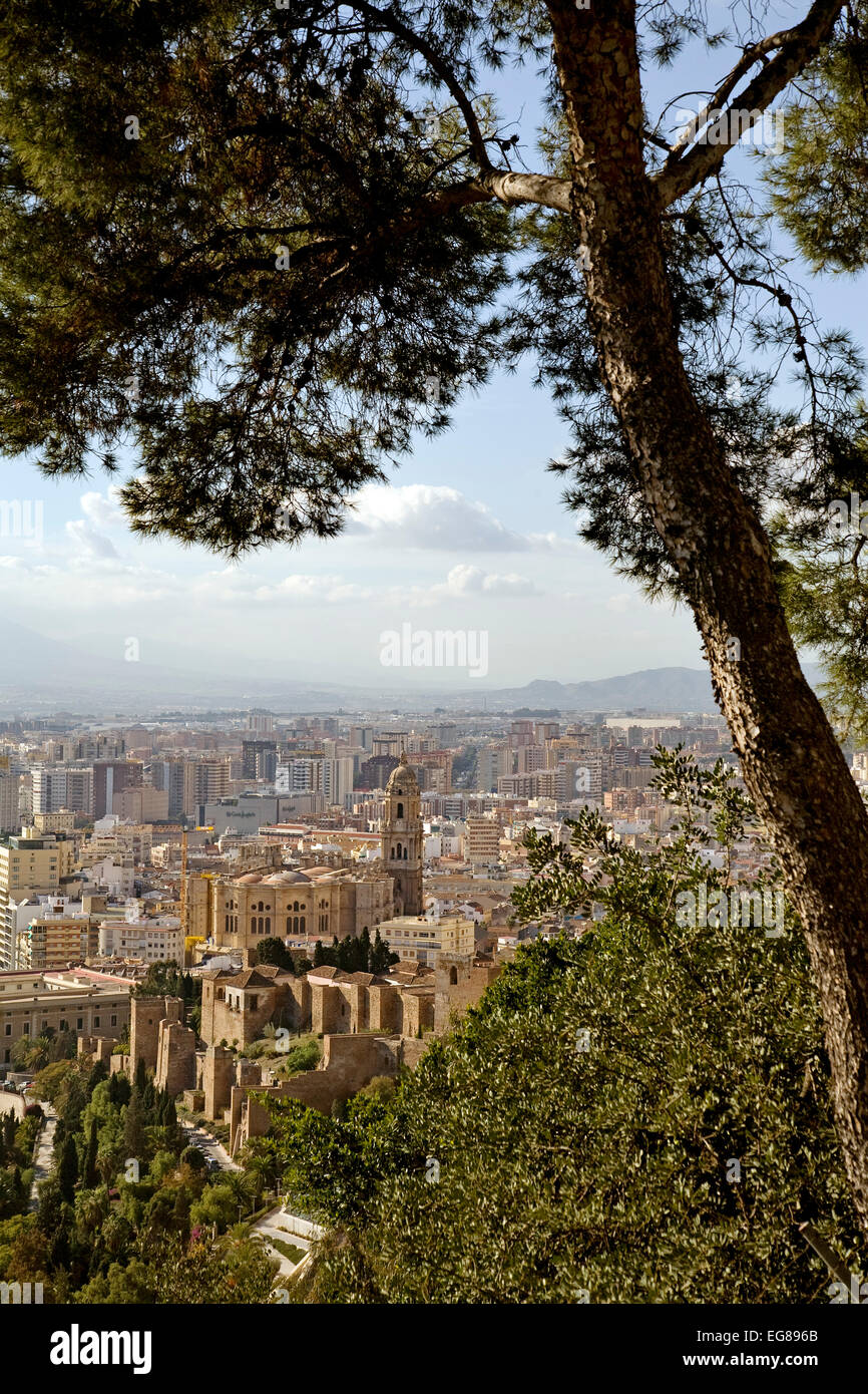 panoramic view citadel cathedral city from Gibralfaro Malaga Costa del ...