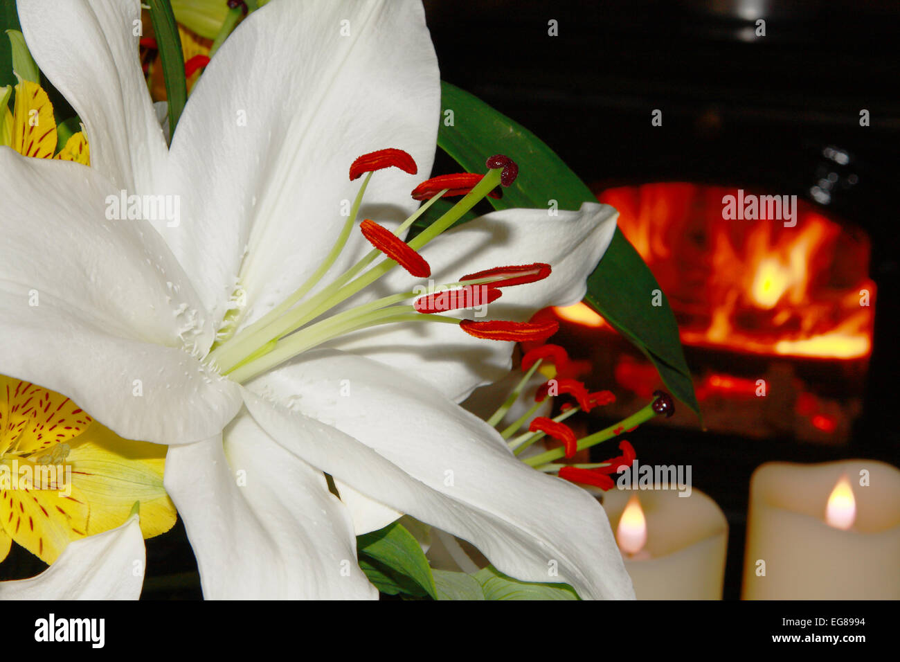 Burning lily hi-res stock photography and images - Alamy