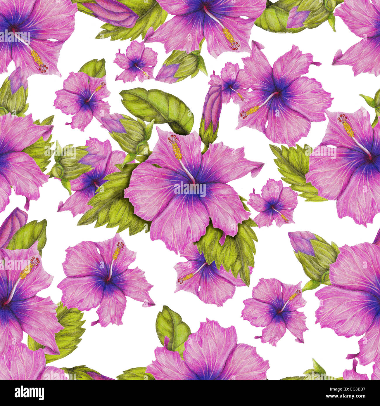 Hibiscus pattern hi-res stock photography and images - Alamy