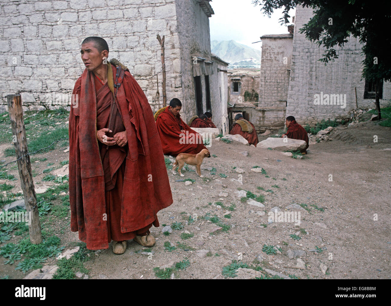 Buddhist monks, Sera Monastery, Tibet, Autonomous Region, China Stock ...