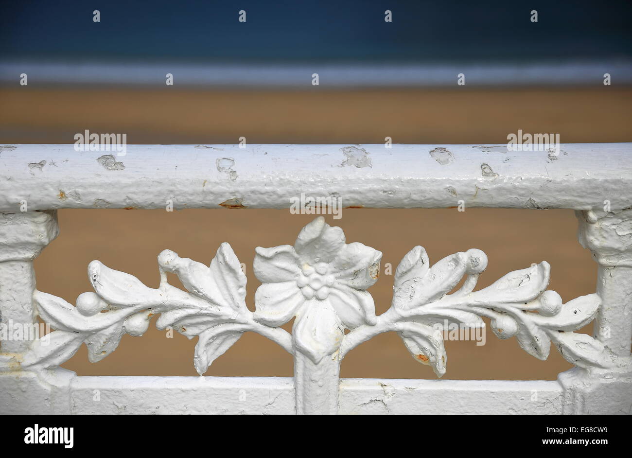 White concha hi-res stock photography and images - Alamy