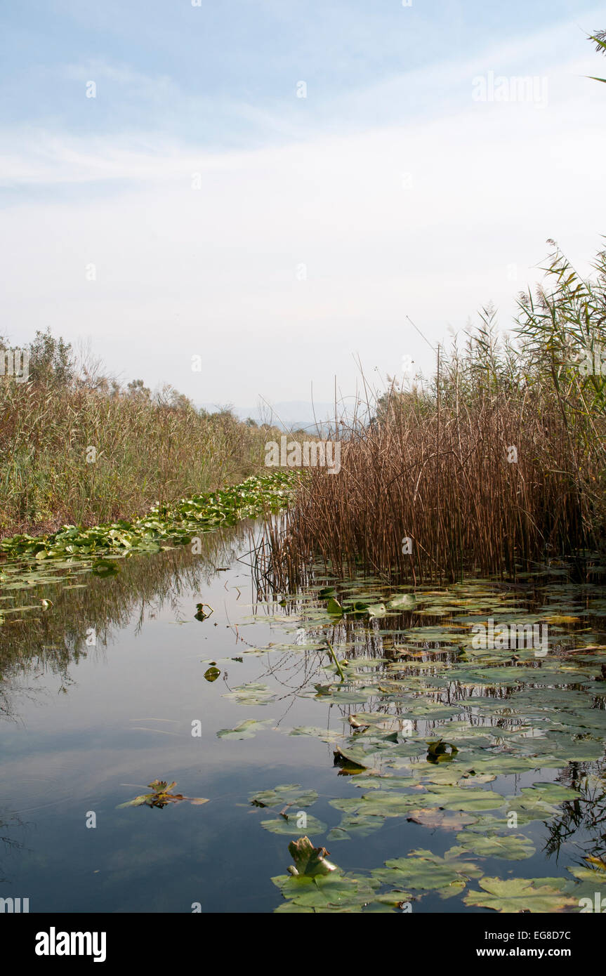 Hutovo Blato is a nature and bird wetland reserve mainly composed of ...