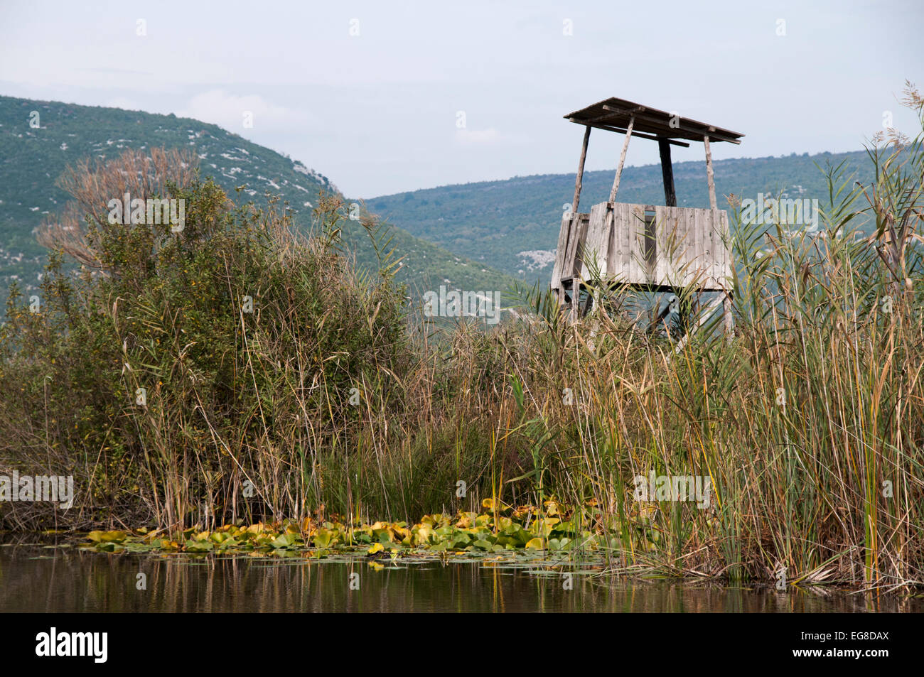 Hutovo Blato is a nature and bird wetland reserve mainly composed of ...